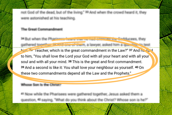 The two great commandments that drive disciple-making – Matthias Media ...